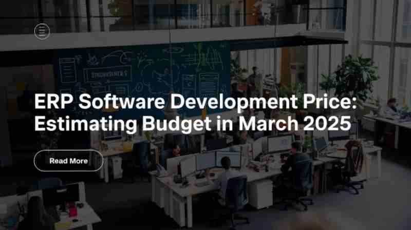 ERP Software Development Price: Estimating Budget in March 2025